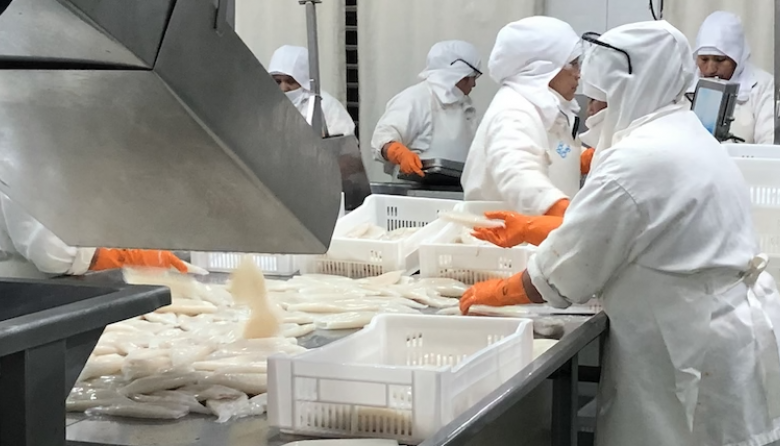 Poteros con proyecto de reproceso en tierra podrían perder el permiso ...